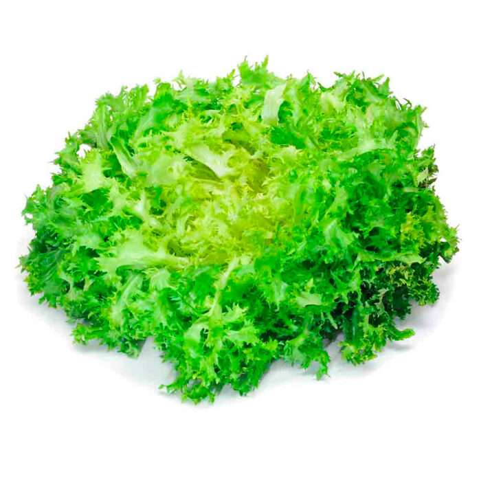 LECHUGA ROMANA(paquete 2 unidades) - FRUTAS Y VERDURAS CON SABOR